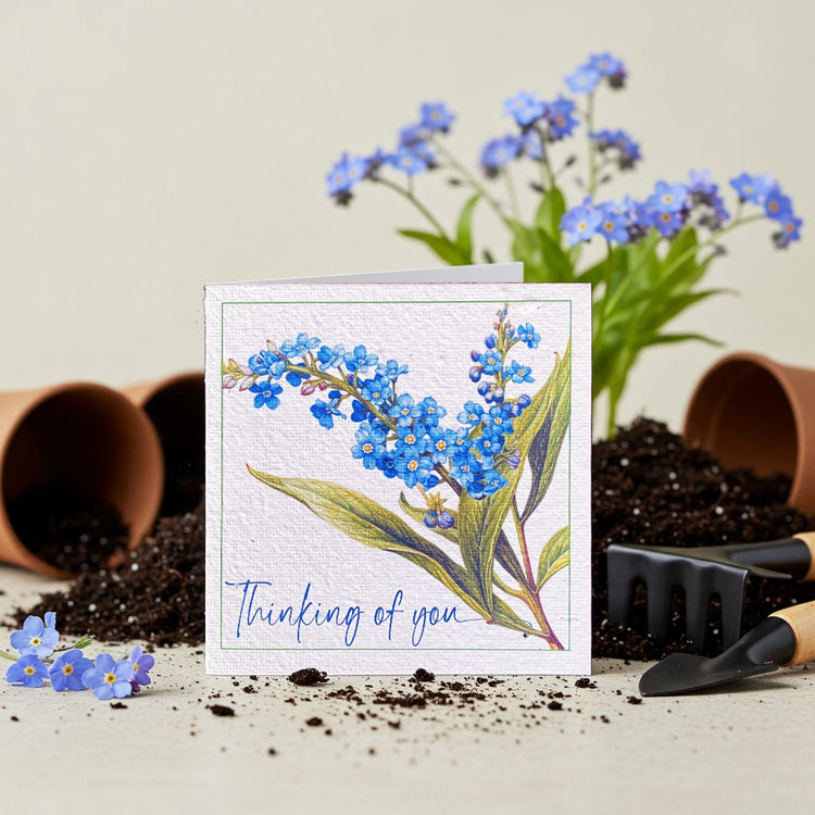 Plantable Greeting Cards and Custom Seed Paper Promotions – Plantacard