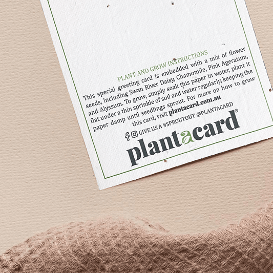 Plantable Greeting Cards and Custom Seed Paper Promotions – Plantacard